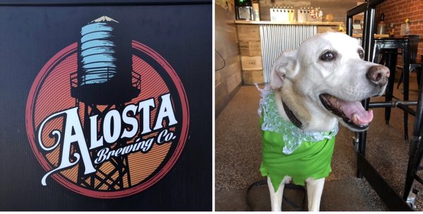 ALOSTA BREWING CO - 240 Photos & 184 Reviews - 692 Arrow Grand Cir ...