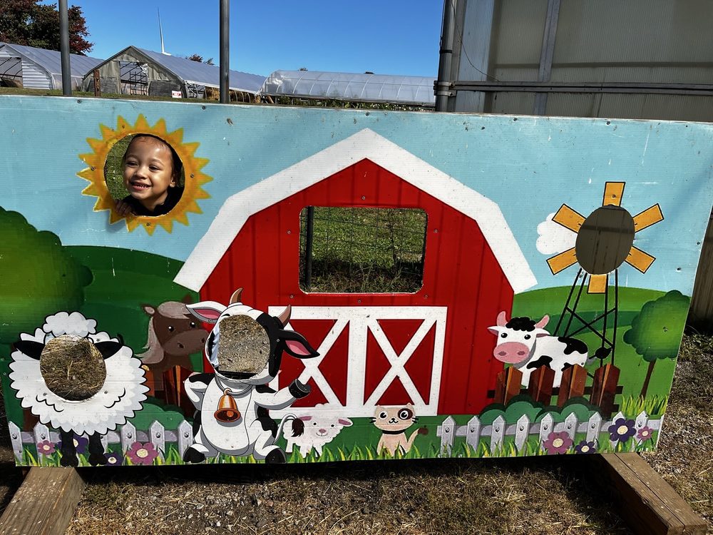 PEZZA FARM AND GARDEN CENTER - Updated October 2025 - 64 Photos & 18 ...