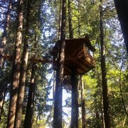 OUT’N’ABOUT TREEHOUSE TREESORT - 298 Photos & 80 Reviews - 300 Page ...