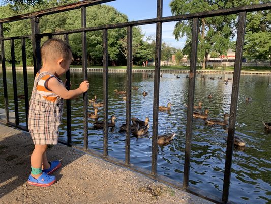 HALLS POND PARK - Updated October 2025 - 22 Photos - 671 Nassau Blvd ...