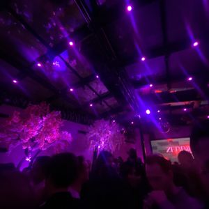 ZEBBIE’S GARDEN - 30 Photos & 11 Reviews - 1223 Connecticut Ave ...