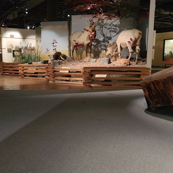 STATE HISTORICAL MUSEUM - Updated December 2025 - 144 Photos & 26 ...