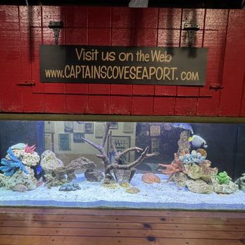 CAPTAIN’S COVE SEAPORT - Updated January 2026 - 357 Photos & 181 ...