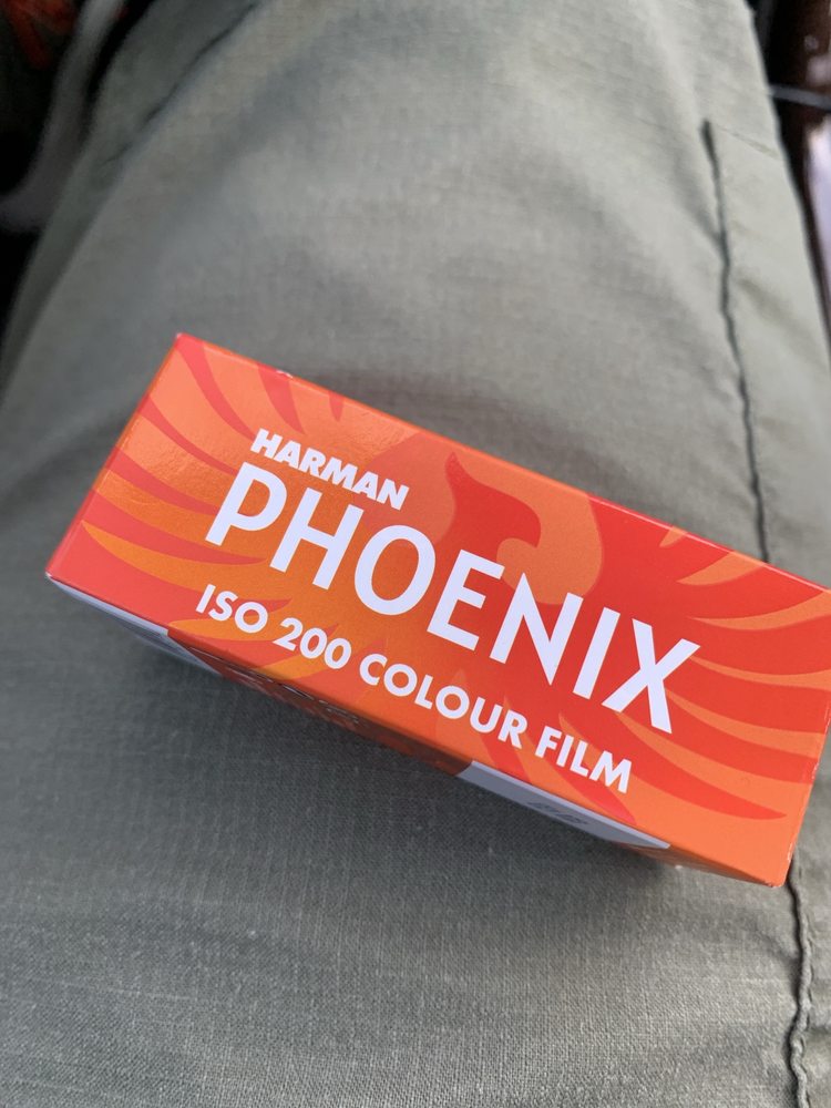 THE SHUTTERBUG - Updated January 2026 - 10 Photos & 37 Reviews - 3932 ...