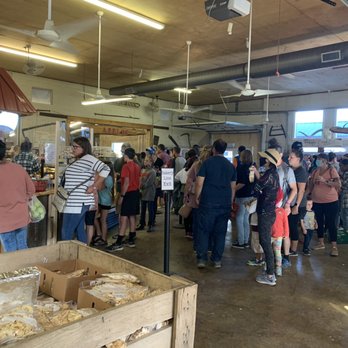 BJ REECE ORCHARDS - Updated June 2025 - 458 Photos & 193 Reviews - 9131 ...