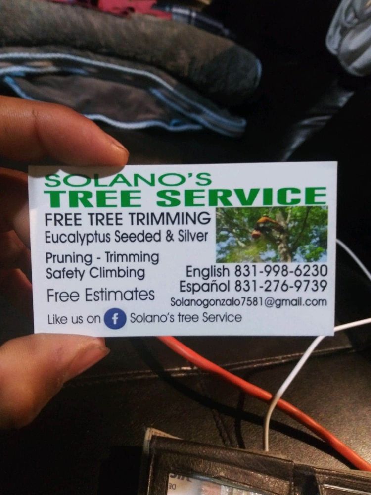 SOLANO’S TREE SERVICES - Updated June 2025 - Request a Quote - Salinas ...