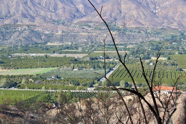 DENNISON PARK - Updated January 2026 - 83 Photos & 37 Reviews - 7250 ...