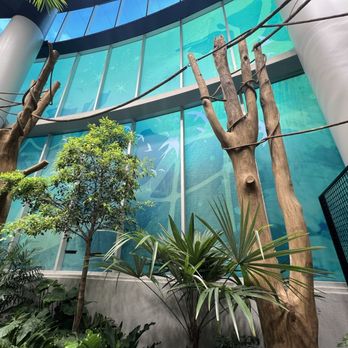 ORLANDO SCIENCE CENTER - Updated December 2024 - 1121 Photos & 377 ...