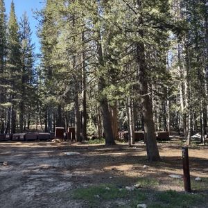 ROBINSON CREEK CAMPGROUND - Updated June 2025 - 23 Photos - Bridgeport ...