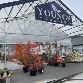 Young S Garden Roseburg Oregon Usa | Fasci Garden