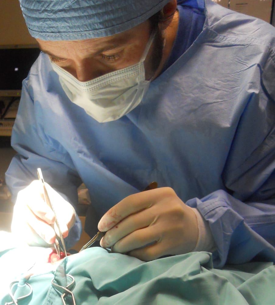 GREENMOUNT VETERINARY CLINIC - 72 Gilford Road, Craigavon, Armagh ...