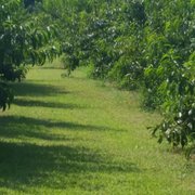 BUSH NECK FARM - CSA - 1502 Bush Neck Rd, Williamsburg, VA - Phone ...