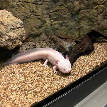 BELLE ISLE AQUARIUM - Updated August 2024 - 397 Photos & 87 Reviews - 3 ...