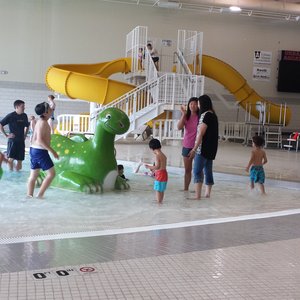 SHOLEM AQUATIC CENTER - Updated July 2025 - 2205 W Sangamon Dr ...