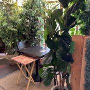 SUSHI KINOYA - 859 Photos & 910 Reviews - 5521 E Stearns St, Long Beach ...