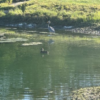 PUSCH RIDGE GOLF COURSE - Updated December 2025 - 25 Photos & 12 ...