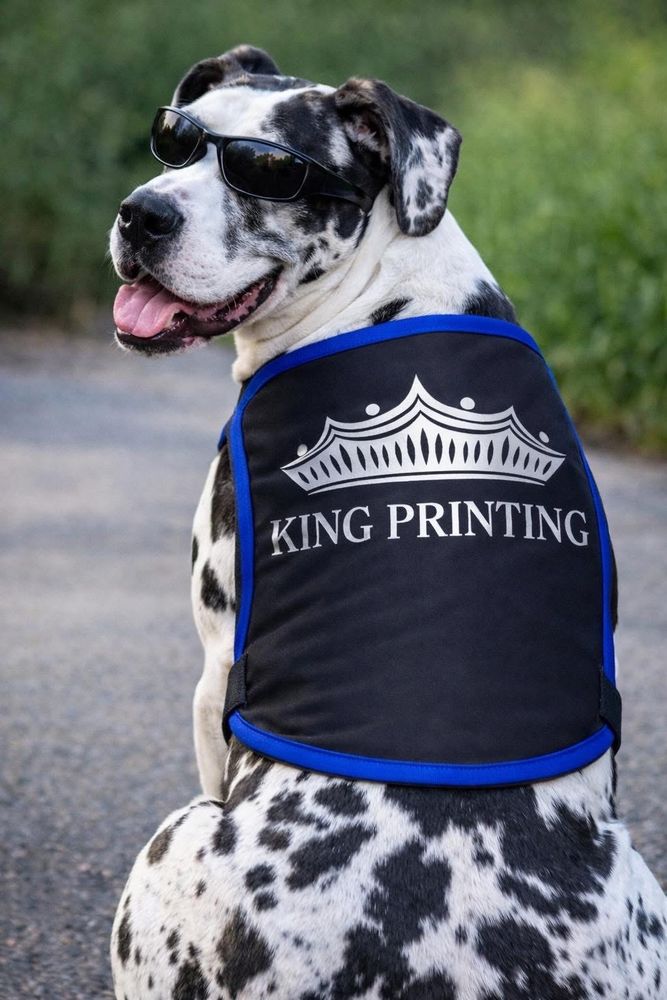 KING PRINTING - Updated April 2026 - 30 Photos & 21 Reviews - 110 ...