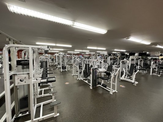 GOODLIFE FITNESS - Updated January 2026 - 26 Photos - 775 Adelaide St N ...