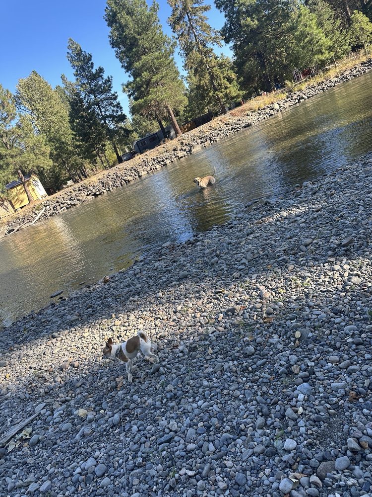 WHISPERING PINES RV PARK - Updated January 2026 - 80 Photos & 34 ...