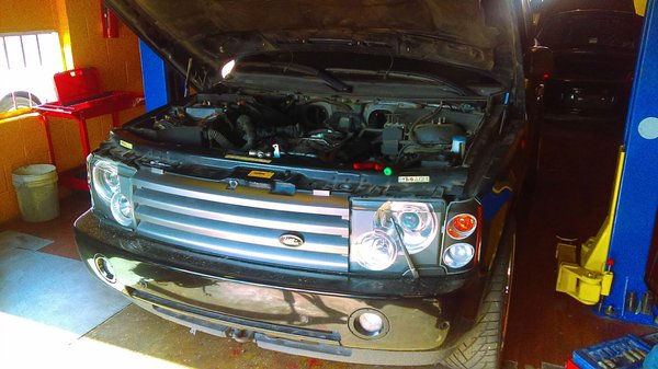 EUROPEAN PERFORMANCE - Updated May 2026 - 40 Photos - 13755 Bachimba Dr ...