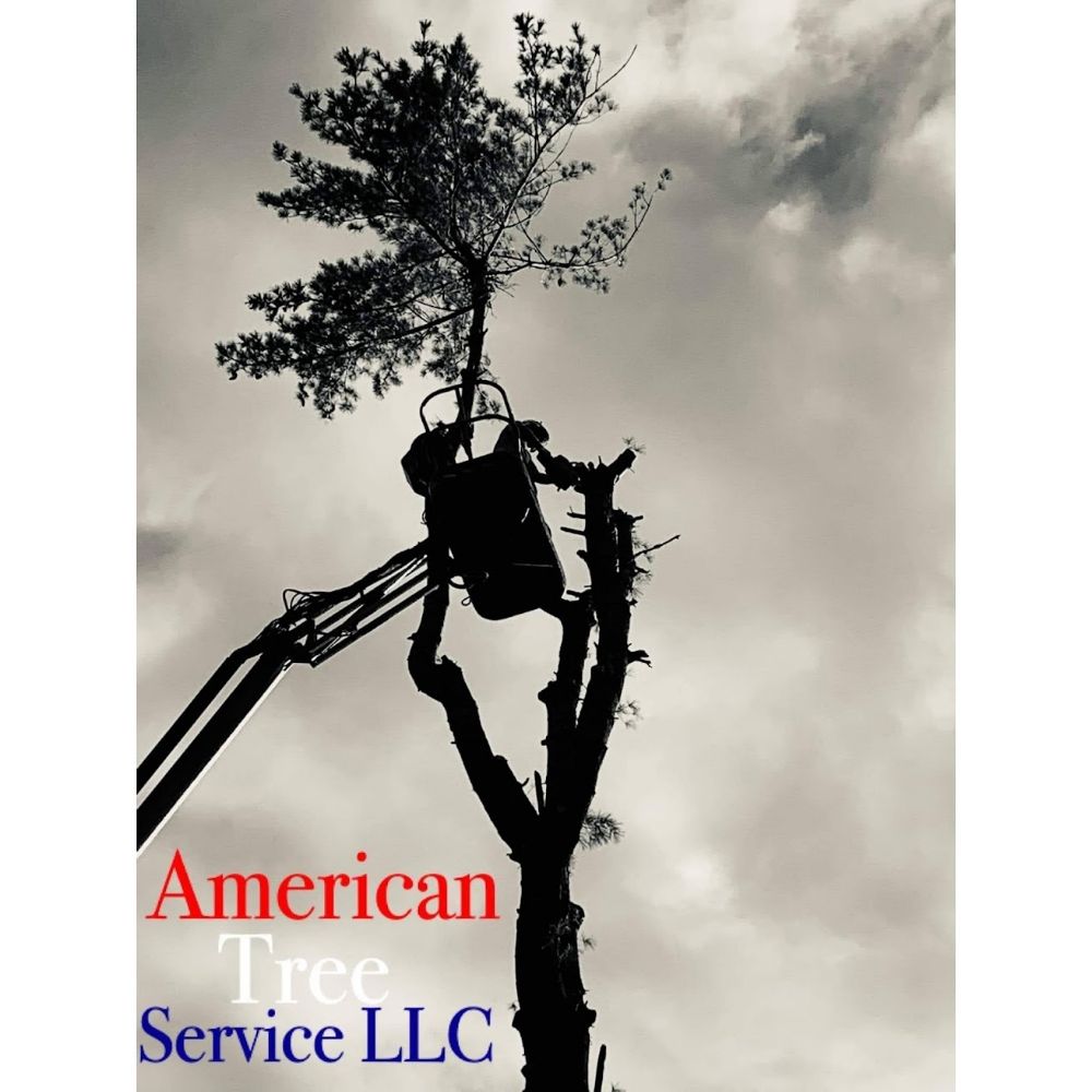 AMERICAN TREE SERVICE - Updated April 2025 - Request a Quote - 51 ...