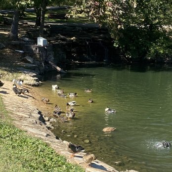 WATSON TRAIL PARK - Updated August 2025 - 65 Photos & 10 Reviews ...