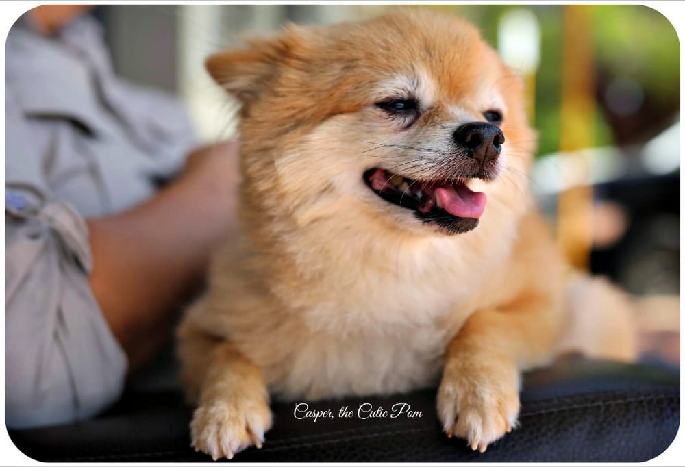 SECONDELI CAFE - Updated October 2025 - 39 Photos & 18 Reviews - 751 ...