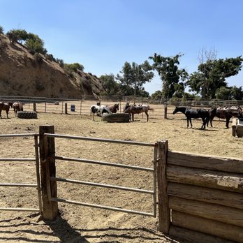 SUNSET RANCH HOLLYWOOD STABLES - Updated November 2024 - 1210 Photos ...