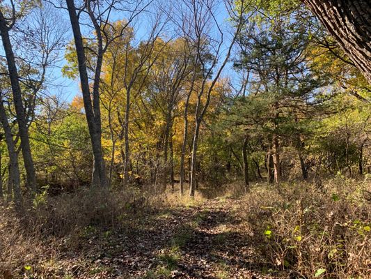 PRAIRIE STAR RANCH - Updated July 2025 - 11 Photos - 1124 California Rd ...