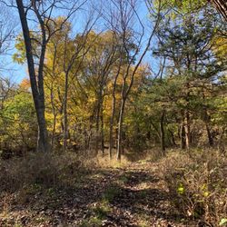 PRAIRIE STAR RANCH - 11 Photos - 1124 California Rd, Williamsburg, KS ...