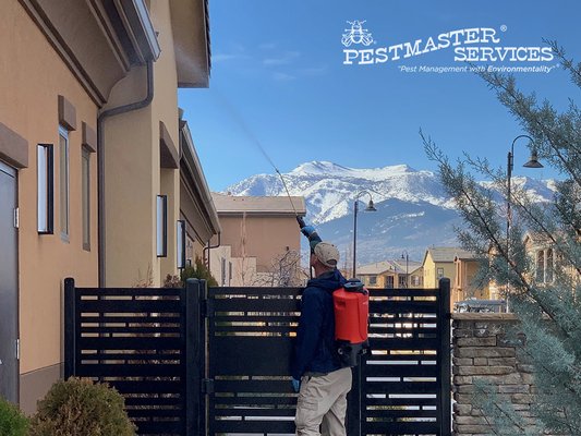 PESTMASTER OF RENO - Updated April 2025 - 25 Photos & 47 Reviews - 9716 ...