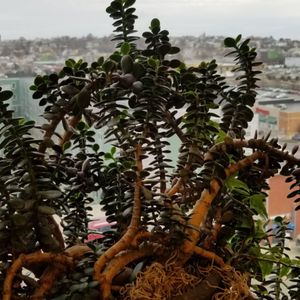 INTERMED - Updated December 2024 - 10 Photos - 100 Foden Rd, South ...