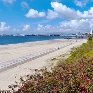 LONG BEACH BEACHES - 54 Photos & 43 Reviews - Beaches - Long Beach, CA