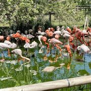 SAFARI WEST - 2855 Photos & 943 Reviews - Zoos - 3115 Porter Creek Rd ...
