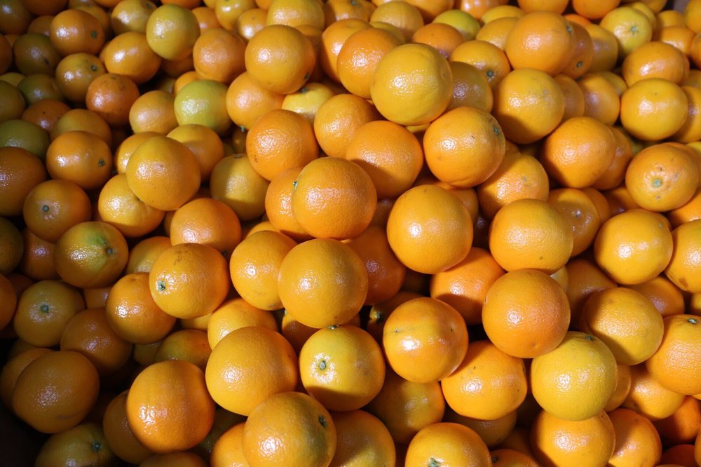 CITRUS PLUS INC - Updated December 2025 - 7209 Jurupa Ave, Riverside ...