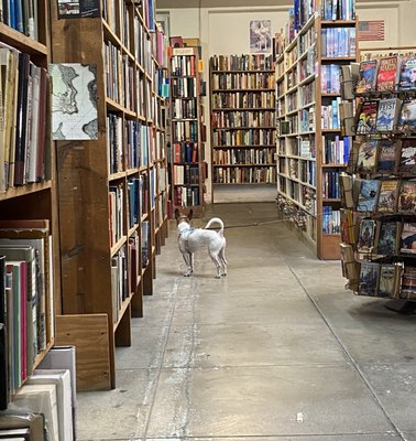 THE BOOK STOP - Updated January 2026 - 25 Photos & 23 Reviews - 214 N ...