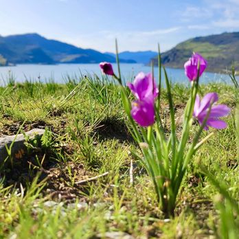 MOSIER CREEK FALLS - Updated August 2025 - 34 Photos - 207 3rd Ave ...