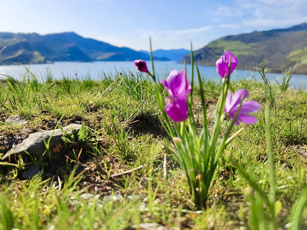 MOSIER CREEK FALLS - Updated August 2025 - 34 Photos - 207 3rd Ave ...