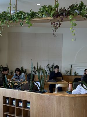 MOONWAKE COFFEE ROASTERS - Updated August 2025 - 662 Photos & 278 ...
