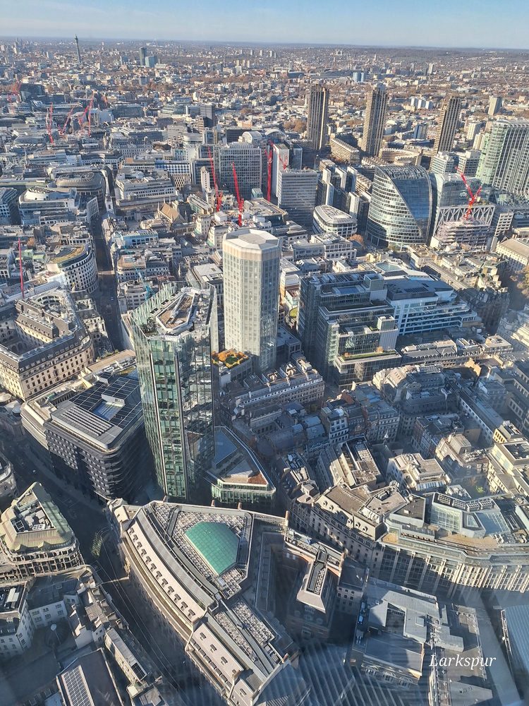 THE LOOKOUT - Updated November 2024 - 8 Bishopsgate, London, United ...