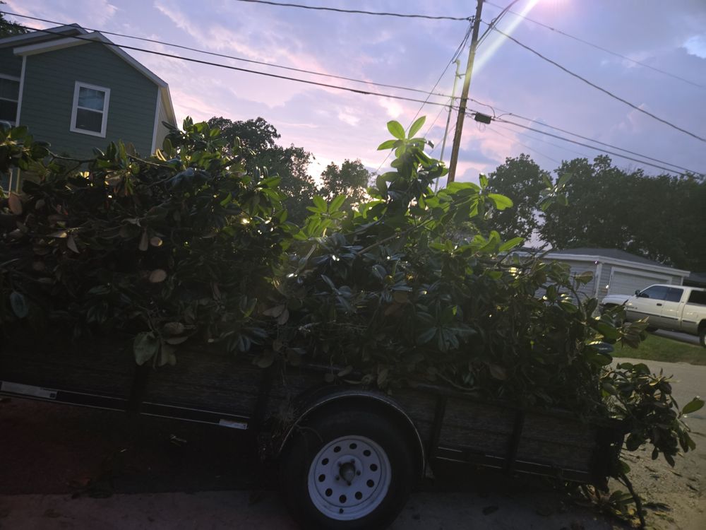 CUT-N-EDGE - Updated July 2024 - Request a Quote - 15 Photos - Houston ...