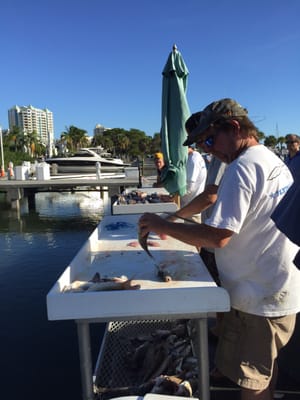 FLYING FISH FLEET DEEP SEA FISHING - Updated May 2024 - 12 Photos & 34 ...