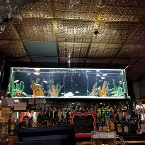 IMPERIAL PUB - 95 Photos & 157 Reviews - 54 Dundas Street E, Toronto ...
