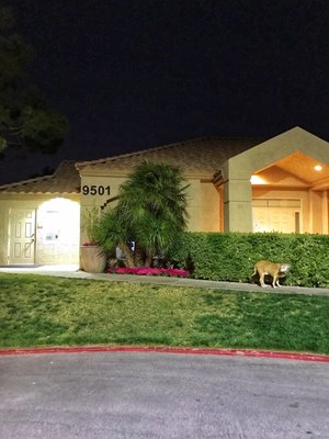 PECCOLE RANCH COMMUNITY ASSOCIATION - 19 Photos - Homeowner Association ...