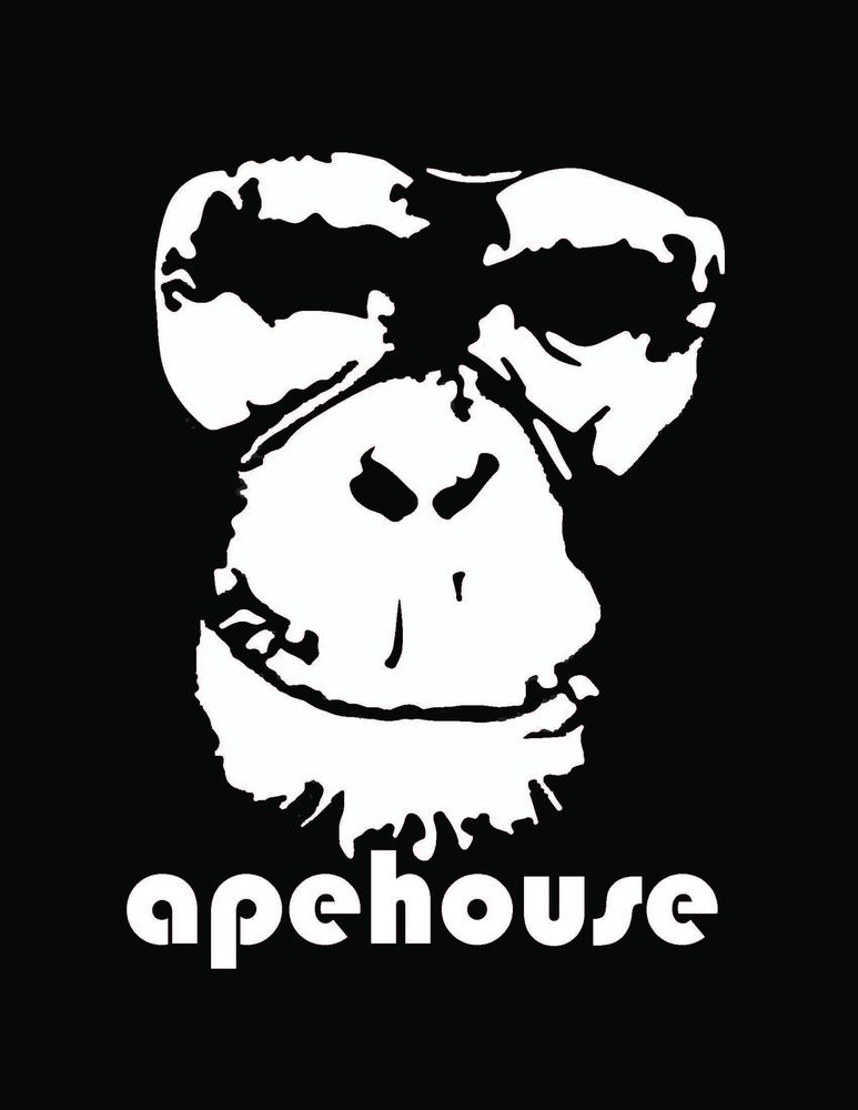 APE HOUSE STUDIOS - Updated June 2025 - Request Information - New York ...