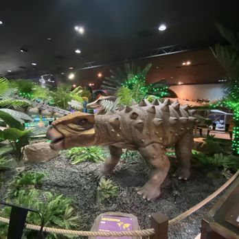 DINOSAUR OUTPOST - Updated September 2025 - 57 Photos & 29 Reviews ...