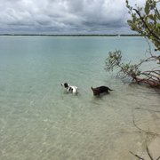 LIGHTHOUSE POINT PARK - 79 Photos & 30 Reviews - Parks - 5000 S ...