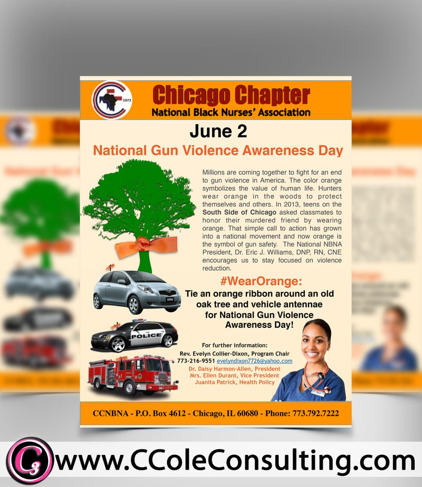 CIERRA COLE CONSULTING - Aurora, Illinois - Graphic Design - Phone ...