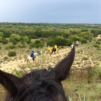 PARRIE HAYNES RANCH - Updated January 2026 - 23 Photos - 2419 Gann ...