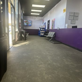 SOCAL PET VETS - Updated December 2025 - 84 Photos & 107 Reviews ...